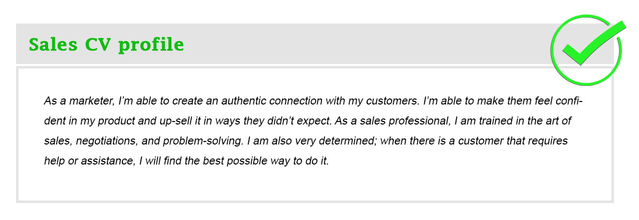 25+ Best CV Personal Profile Examples with Writing Guide 2024 - ResumeKraft