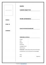 20+ Sample Bio Data Formats for Job PDF & Word Free Download 2024