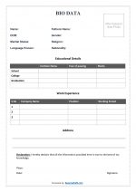 20+ Sample Bio Data Formats for Job PDF & Word Free Download 2024