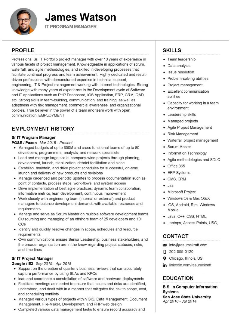 2200+ Professional Resume Samples in 2024 | ResumeKraft