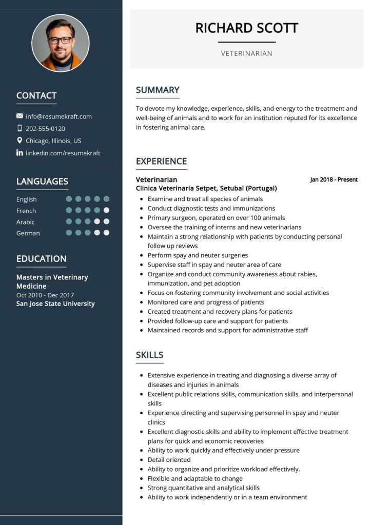 2200+ Professional Resume Samples in 2025 | ResumeKraft
