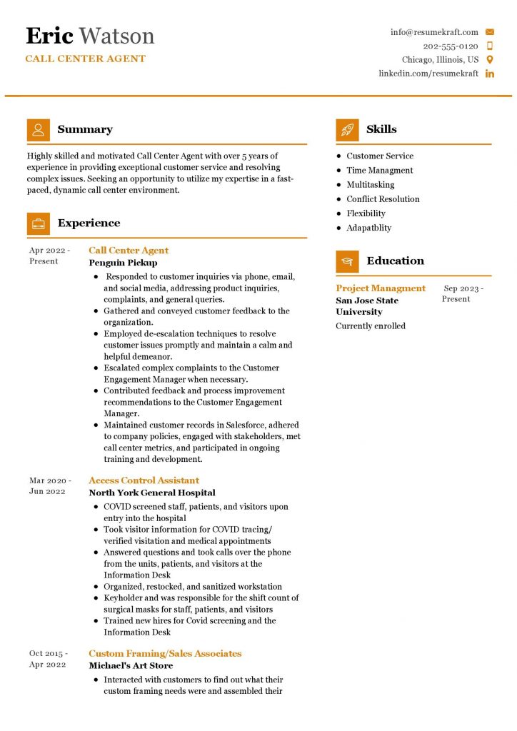 2200 Professional Resume Samples In 2024 Resumekraft