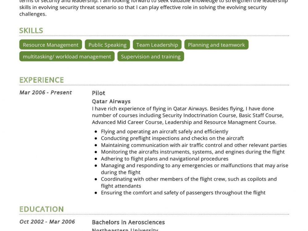 Pilot Cv Example In 2025 Resumekraft