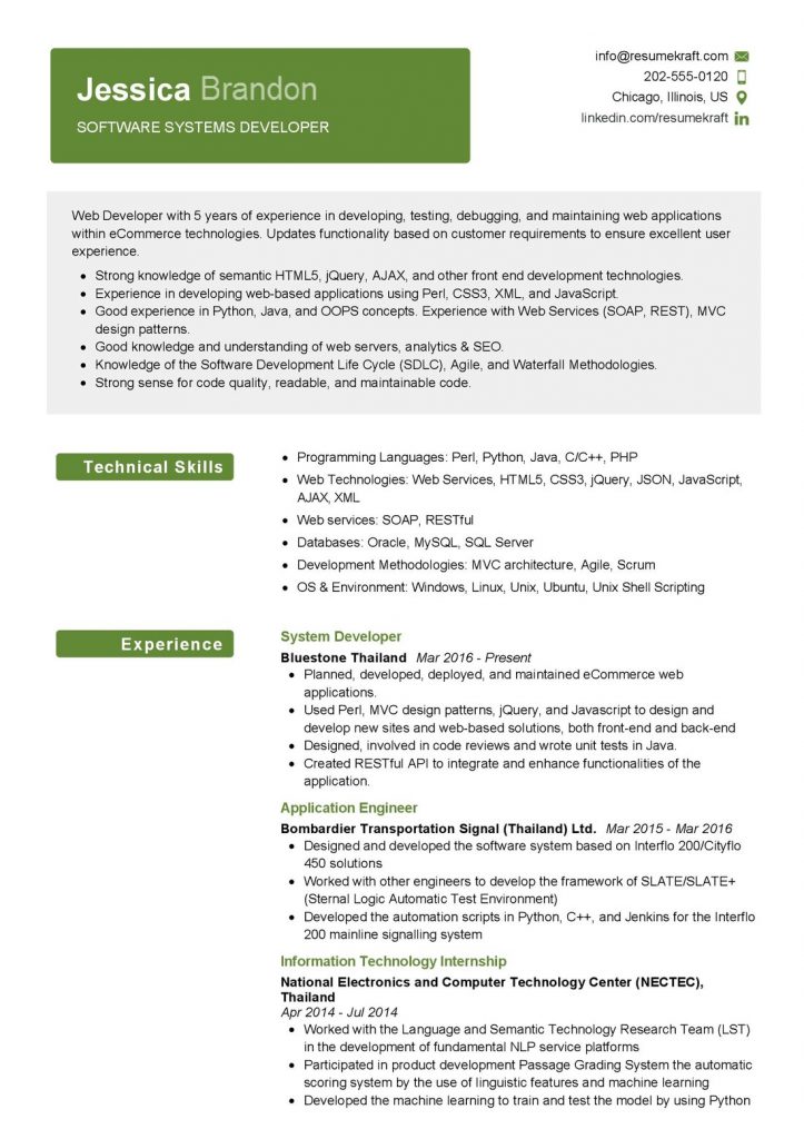 2200+ Professional Resume Samples in 2025 | ResumeKraft