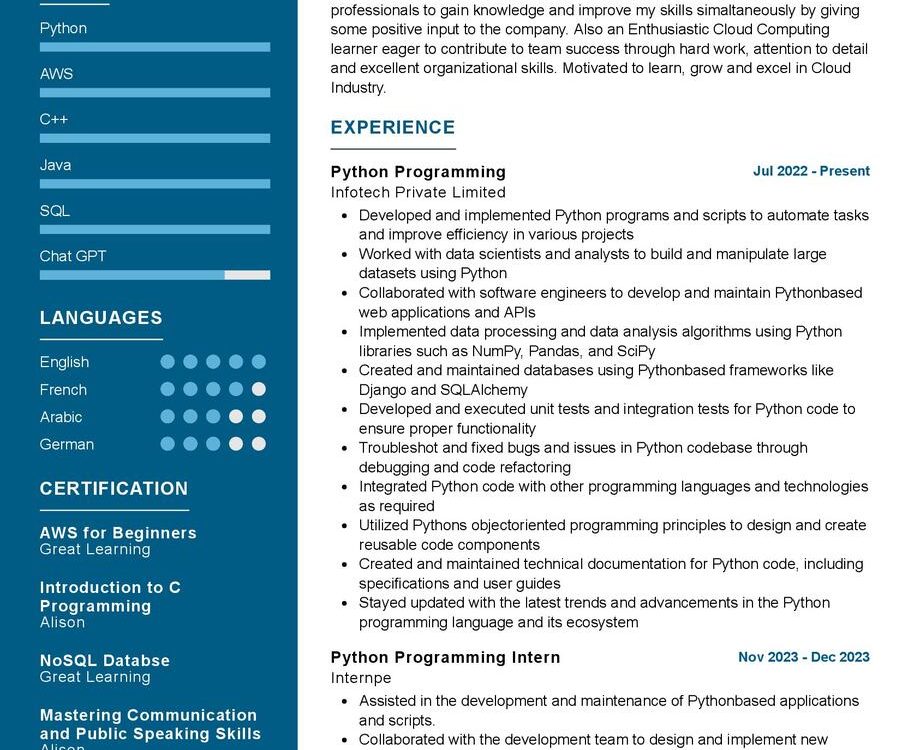 Python Developer CV Example in 2025 - ResumeKraft Python Developer CV Example in 2025 - ResumeKraft