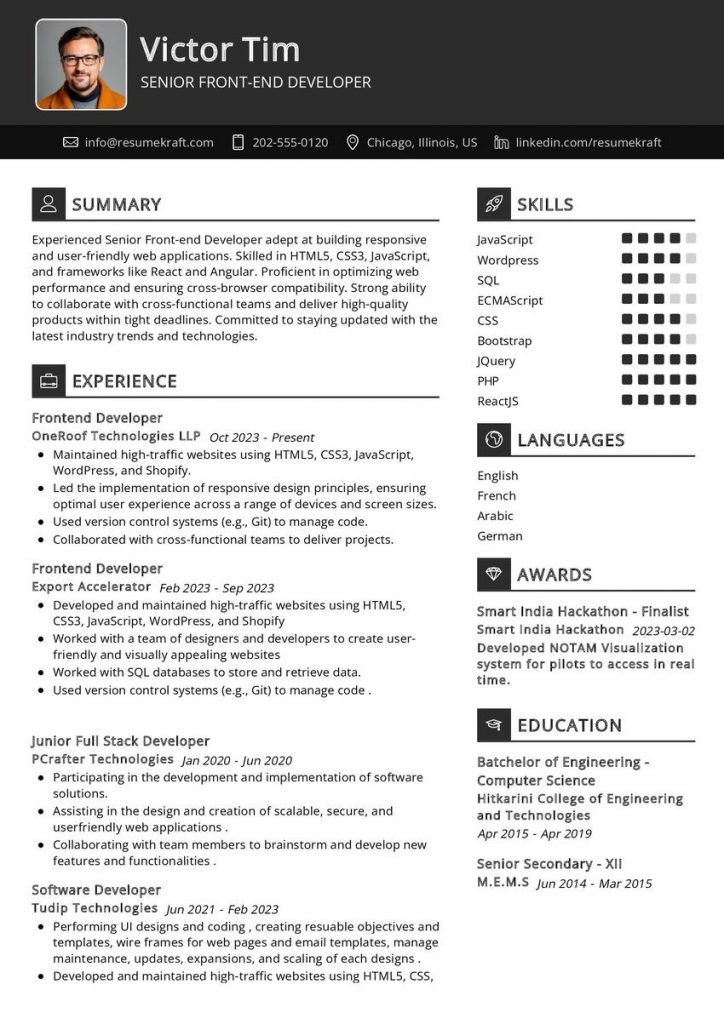 2200+ Professional Resume Samples in 2025 | ResumeKraft