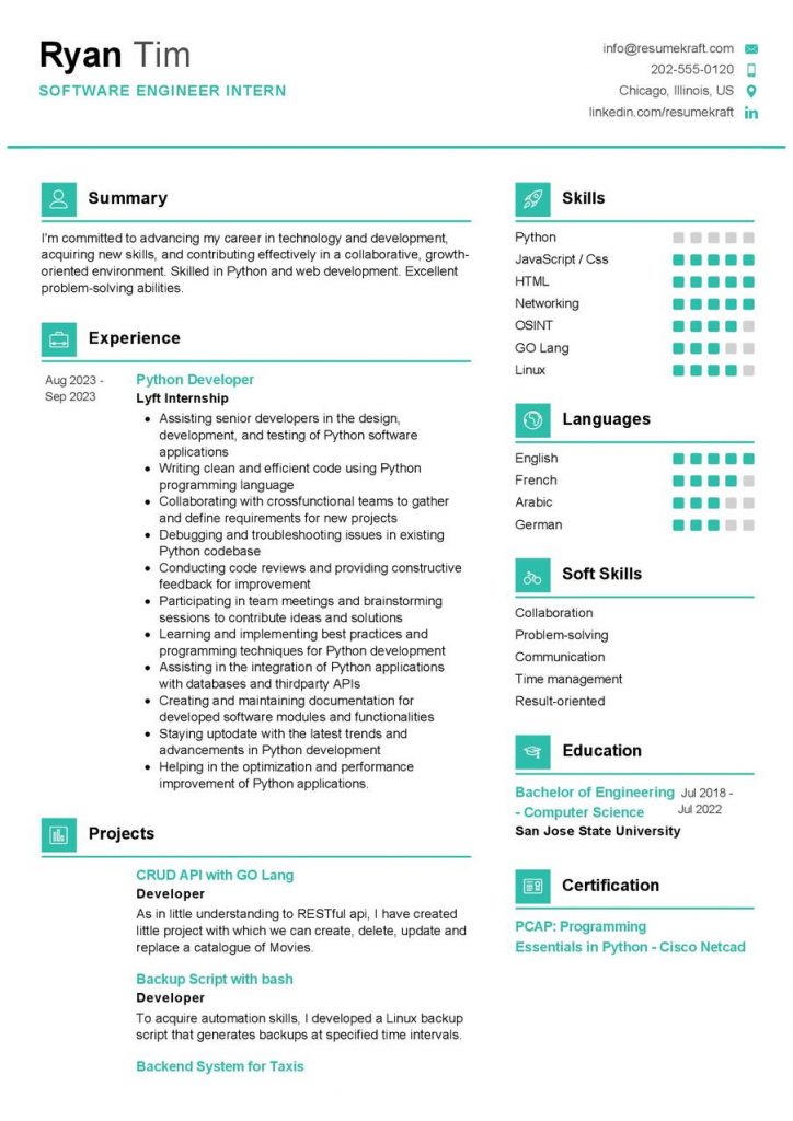 2200+ Professional Resume Samples in 2024 | ResumeKraft