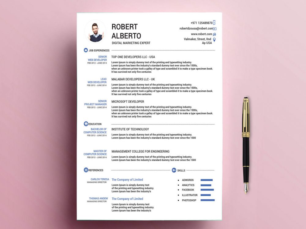 Classic Resume Template Free Download With Doc PSD Formats ResumeKraft