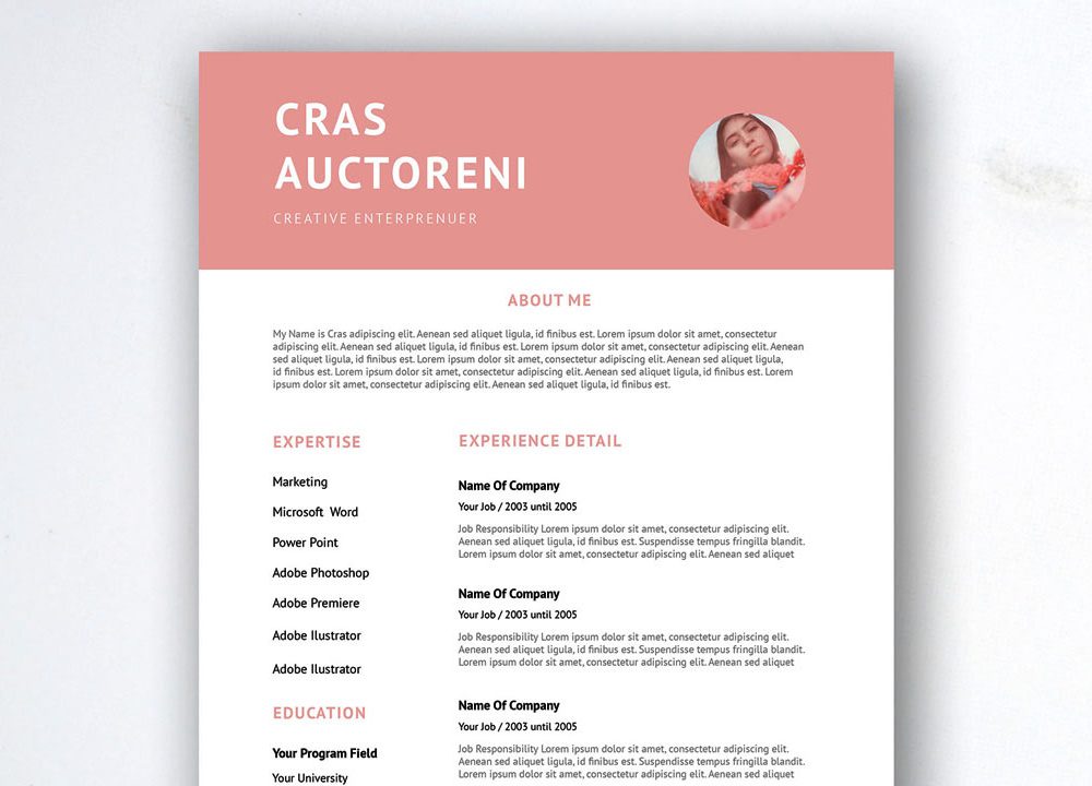 Free Professional Resume Template In Word Format 2023 ResumeKraft