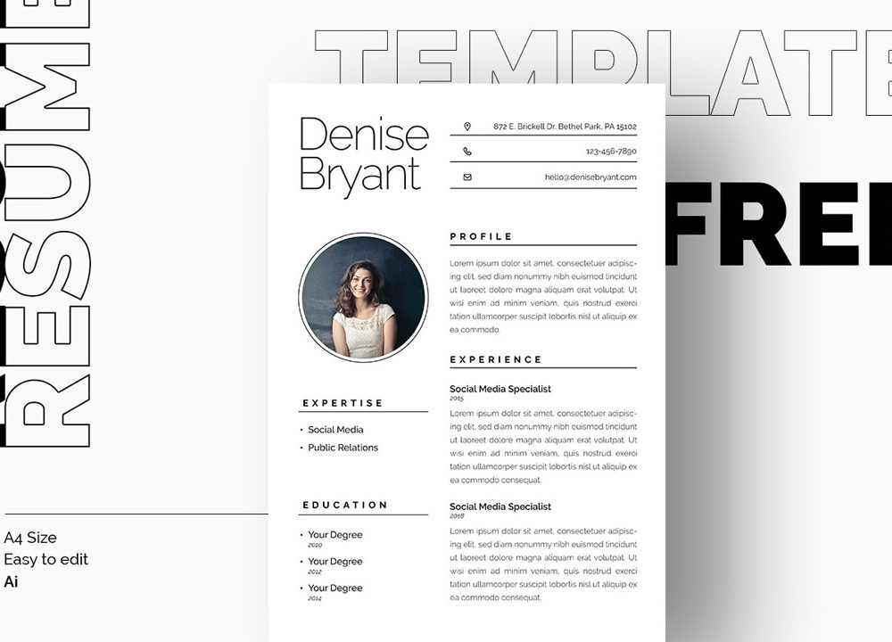  Minimalist Resume Template Free Download In 2024 ResumeKraft
