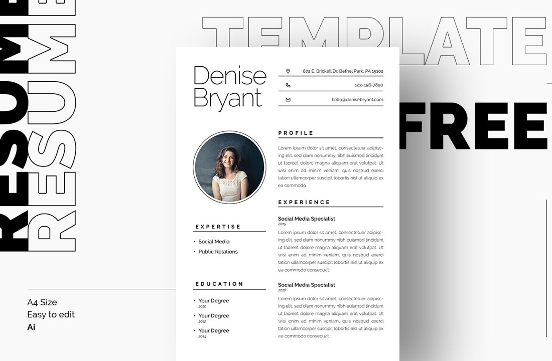 Minimalist Resume Template Free Download 2023 ResumeKraft